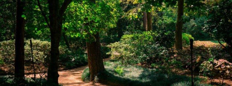 Edith L Moore Nature Sanctuary - Explore Houston Texas